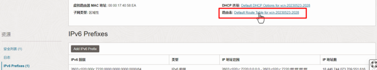 Oracle OCI甲骨文云VPS启用原生IPv6 - 老E的博客